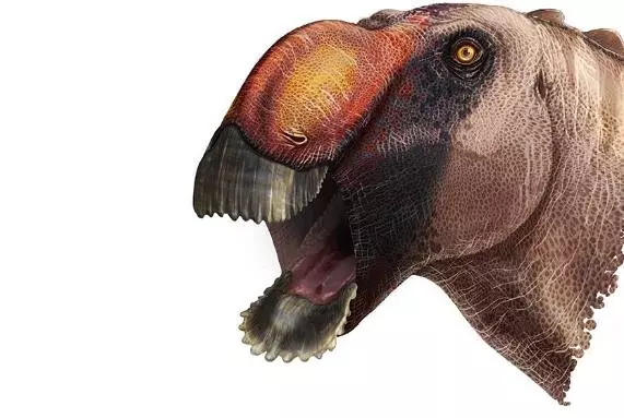 Ang mga Paleontologist ay may natuklasan isang bagong uri ng dinosauro - para silang isang pato!