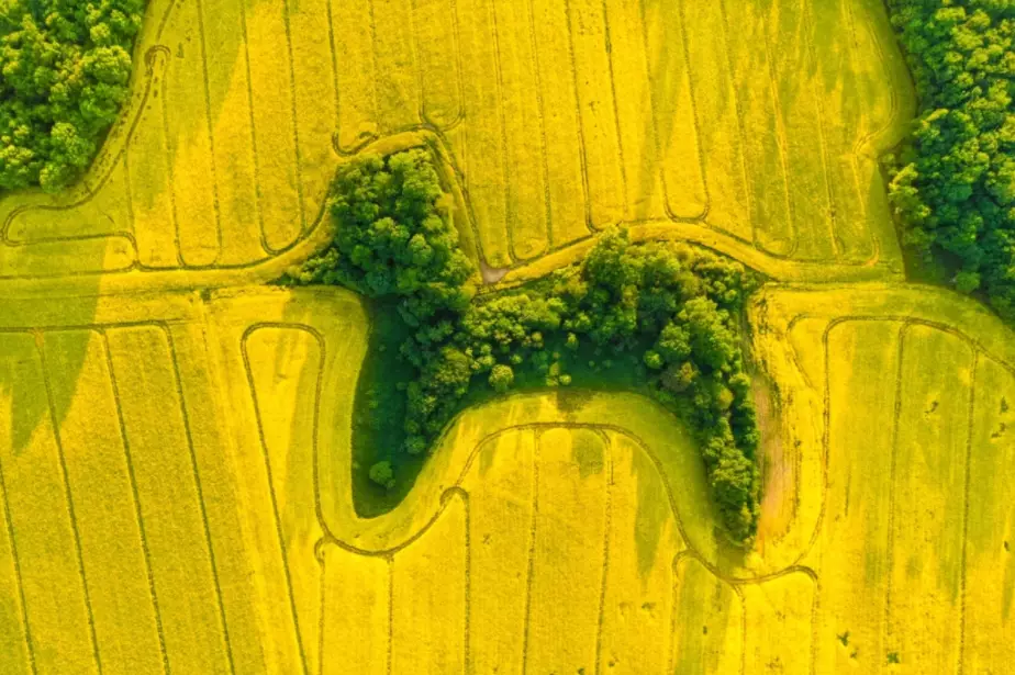 Boholo ba Litšoantšo tsa Epic Drone tsa 2021: Liphetho tsa Contest li Senotsoe 107978_4