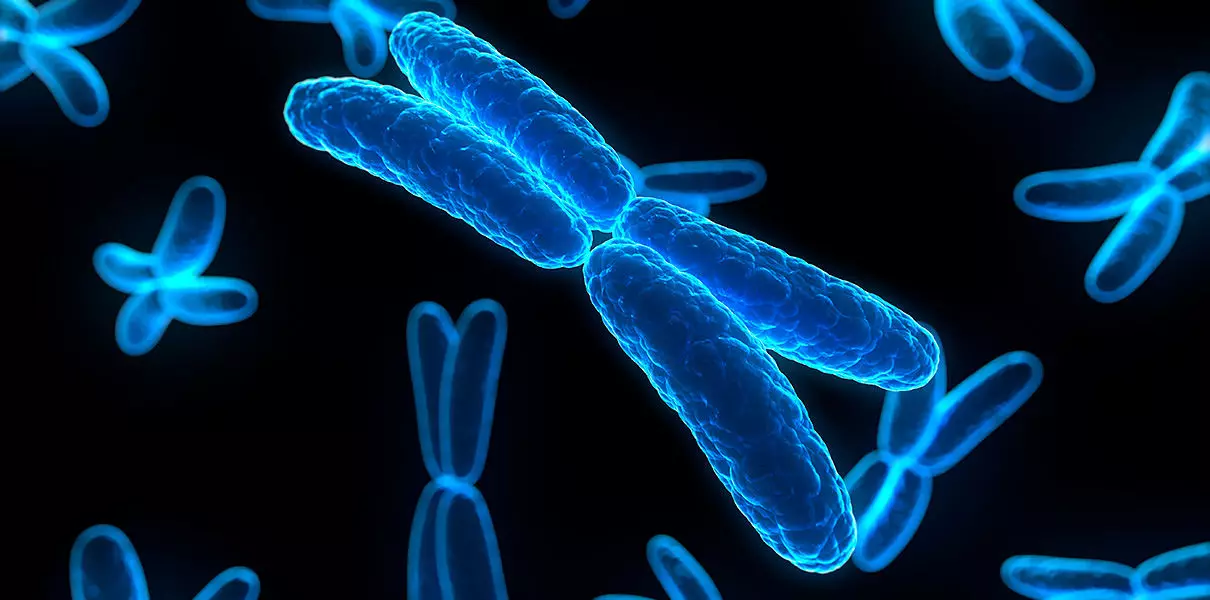 Technológia predlžovania telomér chráni bunky pred starnutím
