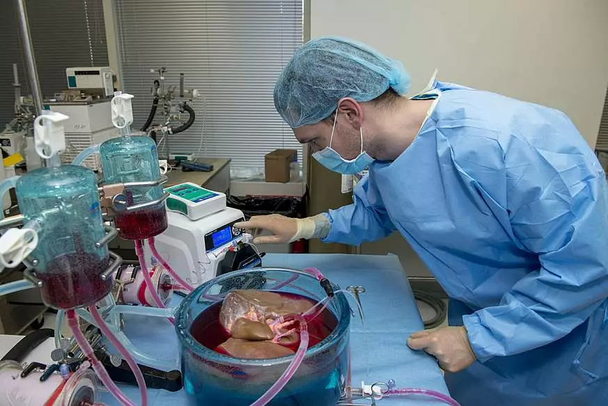 Para saintis Rusia telah menemui cara untuk menggandakan masa pemeliharaan organ penderma