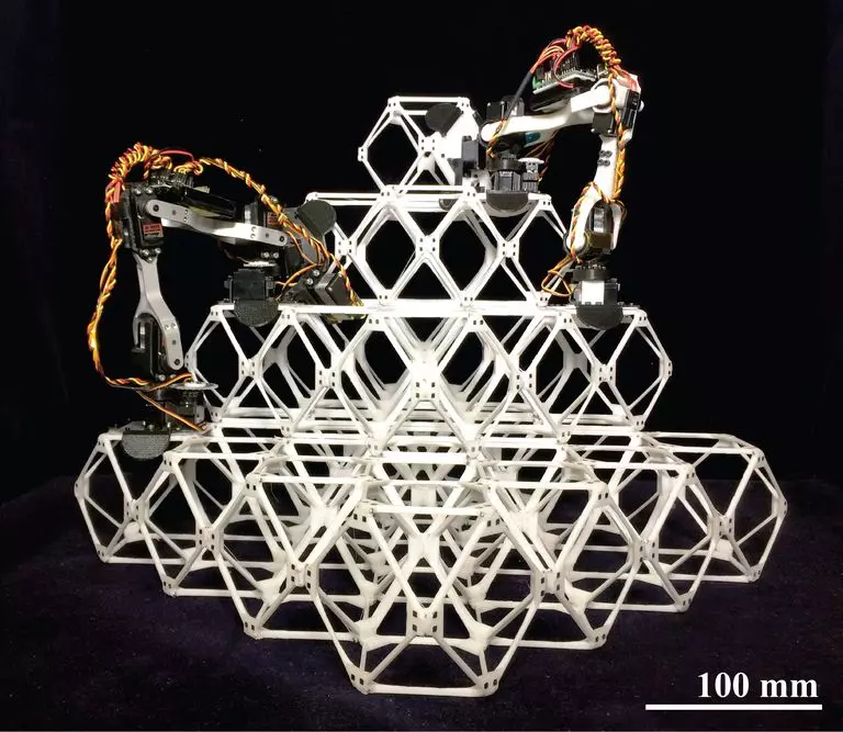 Шинэ робот хорхойнууд сансрын хөлөг бүтээх боломжтой
