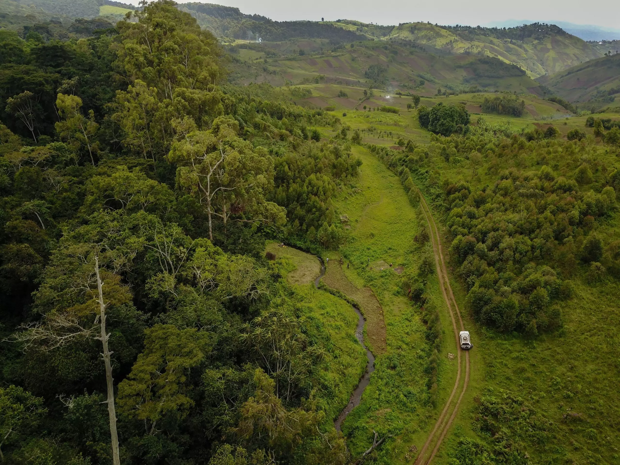 Tanah tropis bisa menjadi sumber karbon dioksida yang tersembunyi