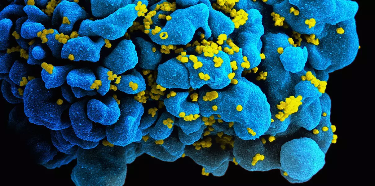 ट्रिपल-एक्शन एन्टिबडीहरु एचआईभी विरुद्ध बचाउन को लागी