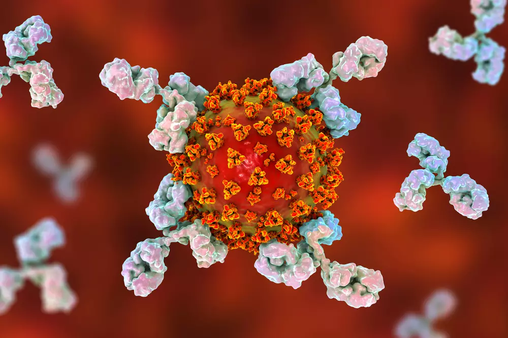 အိန္ဒိယ coronavirus ဗိုင်းရပ်စ်သည်ဗြိတိန်ကိုအမေရိကန်မှမောင်းထုတ်ပစ်လုနီးပါးဖြစ်သည်