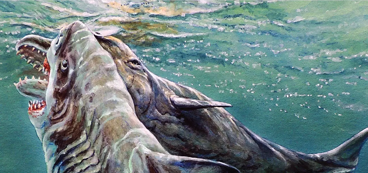 A tudósok nyomait találták a halálos Megalodon harcnak egy bálnával