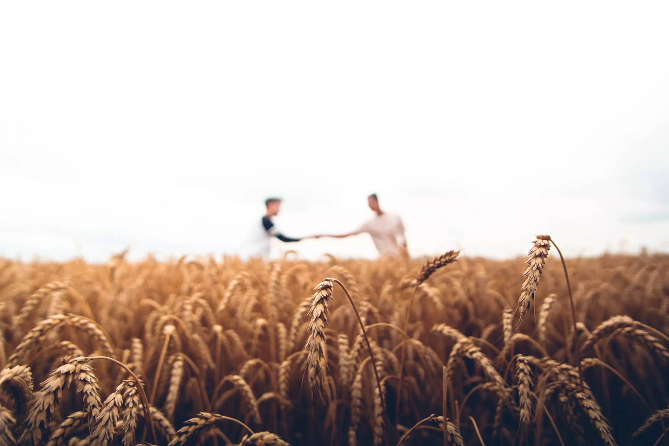 Le changement climatique réduira de 40 % les importations de produits agricoles vers l'UE