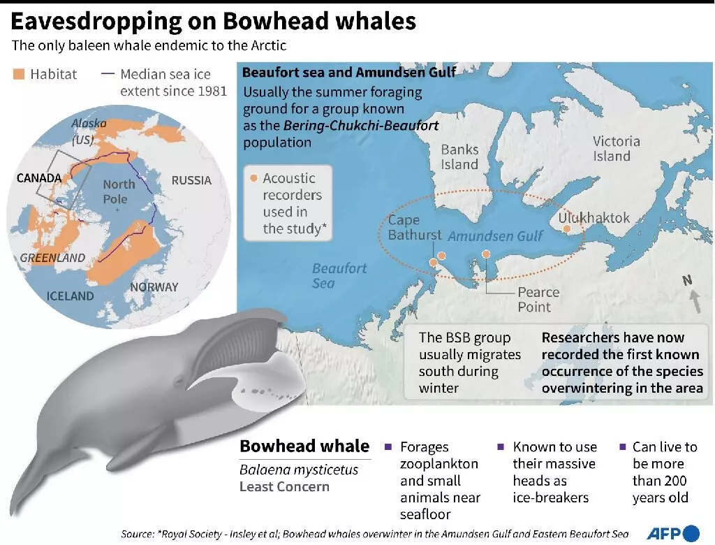 Indirimbo ya Whale Yabwiwe Amatungo Yasibye Kwimuka Amajyepfo Kubera Imihindagurikire y’ibihe 41634_1