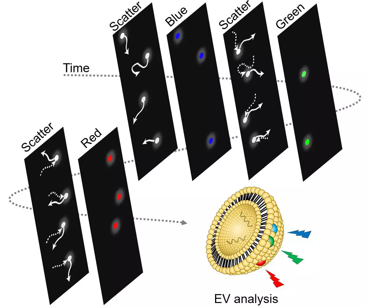 O novo método permitiu observar o movemento dunha nanopartícula específica