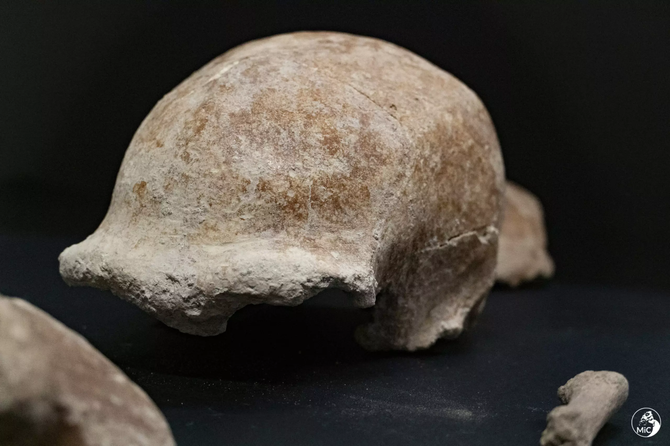 Archäologen haben die Überreste von 9 Neandertalern in der Nähe von Rom entdeckt 42070_2