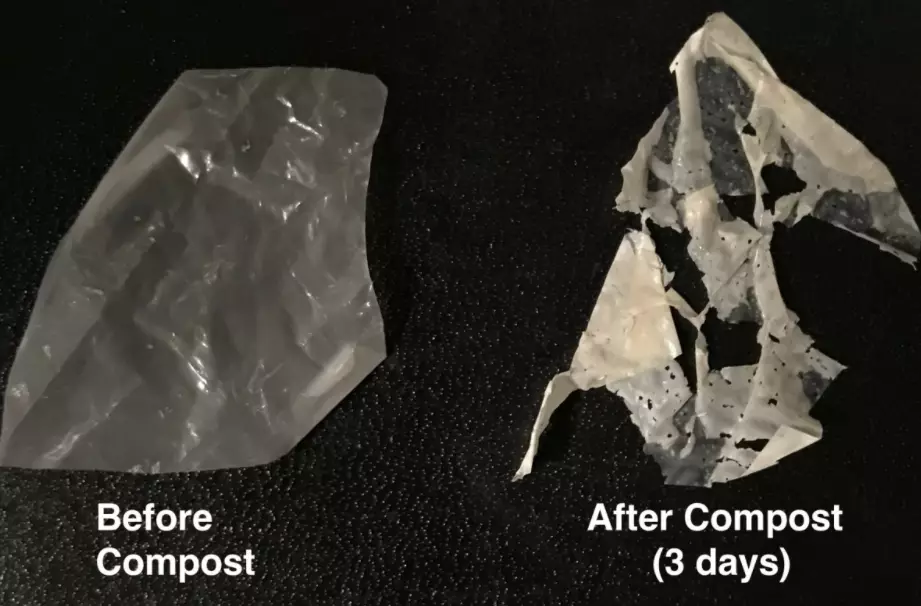 Si rompe rapidamente e non danneggia la natura: cinque tipi di plastica ecologica 42073_3