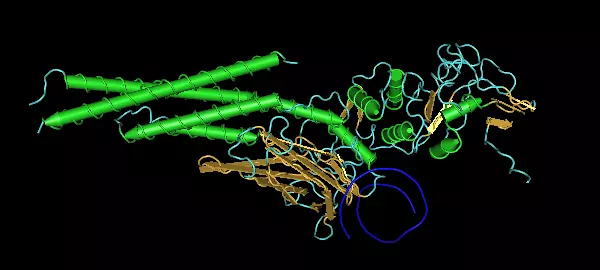 Ang genome bilang isang lalagyan ng impormasyon: paano at bakit mag-iimbak ng data sa DNA 42104_2