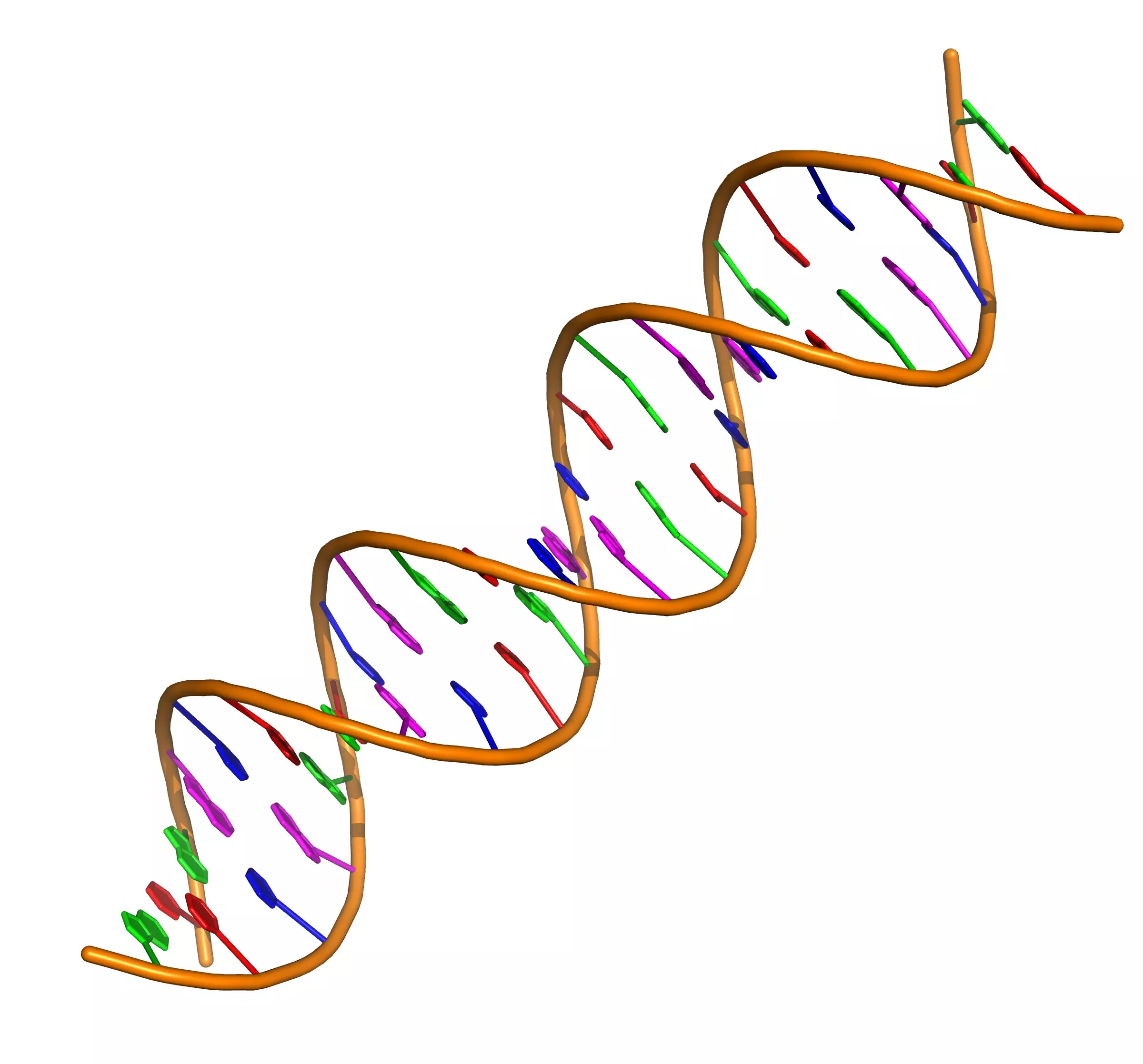 Ný kraftmikil mannvirki geyma og sækja upplýsingar úr DNA