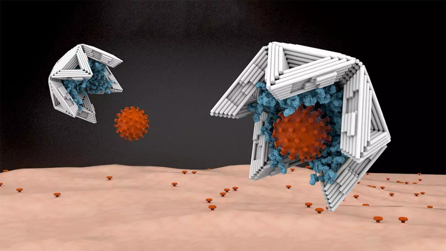 Holle DNA-nanoobjecten kunnen virussen vangen en onschadelijk maken