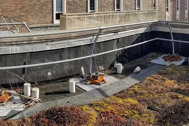 Bakterieë wat in beton woon, vernietig brûe, huise en paaie 42118_1