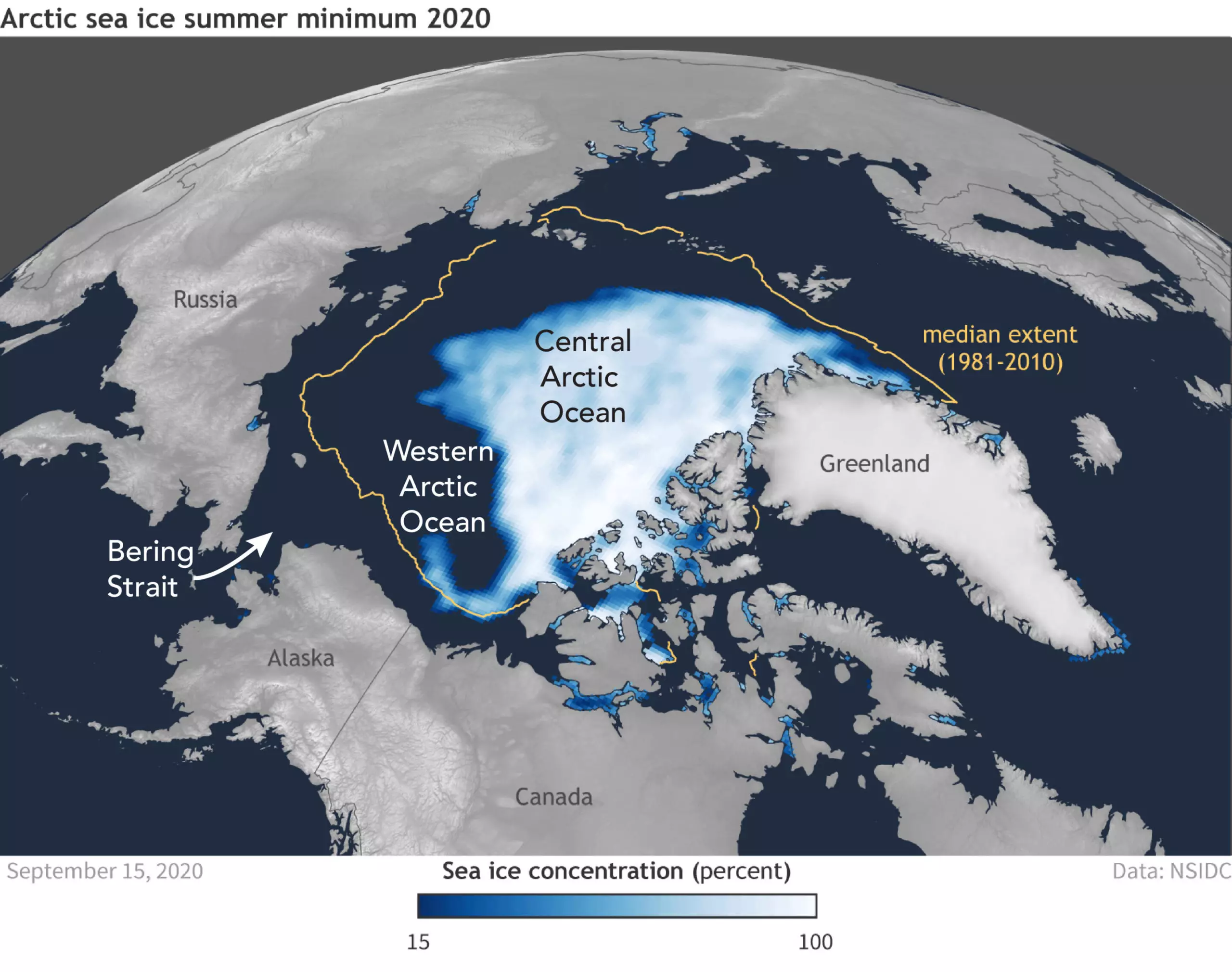 O aquecimento global está matando o plâncton no Oceano Ártico