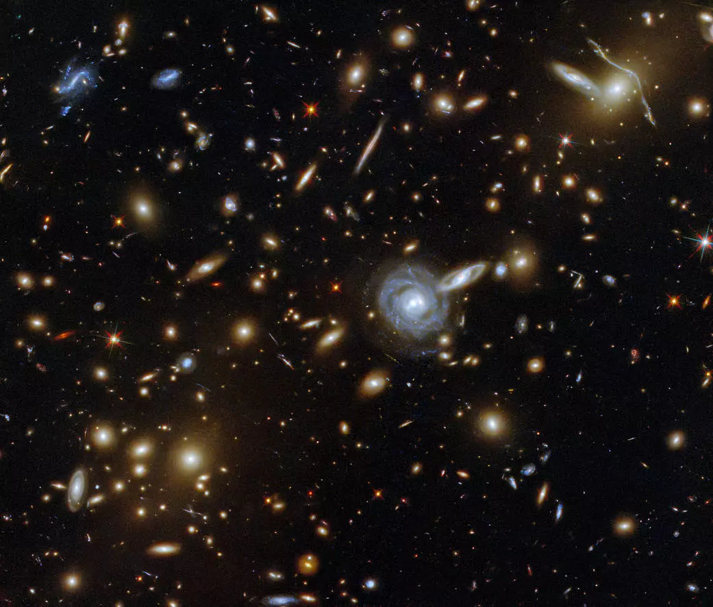 Ver la colección de animales galácticos del Hubble