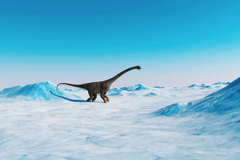 Dinosaurs ankakhala ku Arctic chaka chonse ngakhale kuzizira