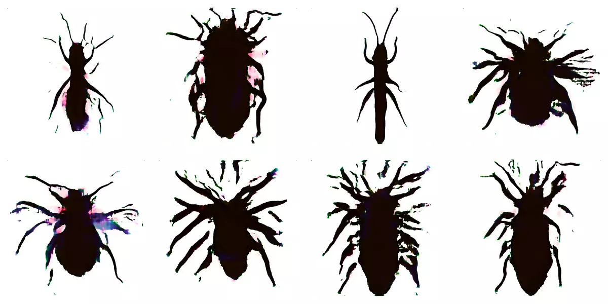 Edrychwch ar yr anifeiliaid mutant newydd y mae'r rhwydwaith niwral wedi'u dyfeisio 42558_3