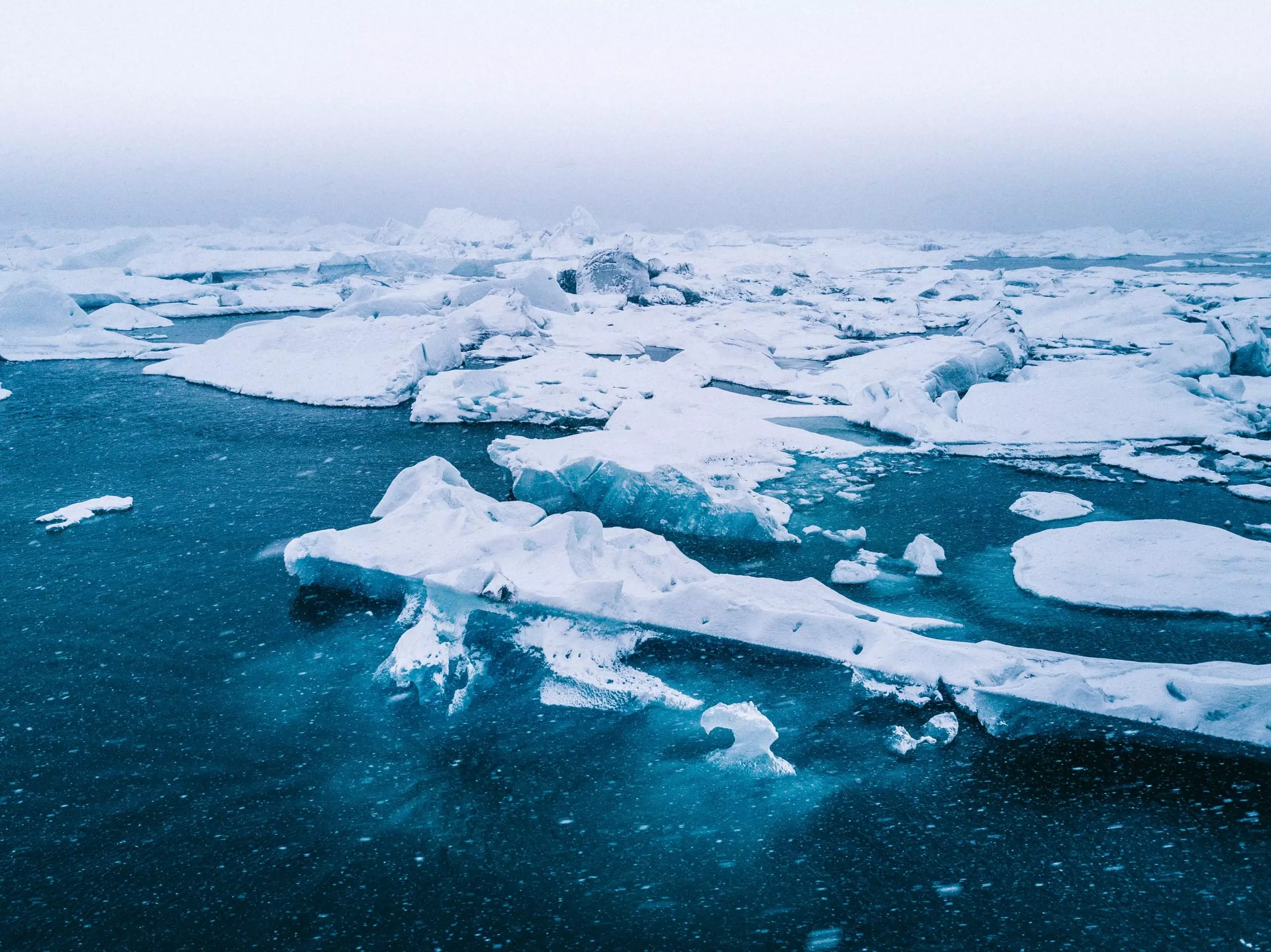 Panukiduki: ang pagtunaw sa permafrost nagpabuhi sa mga karaan nga microbes