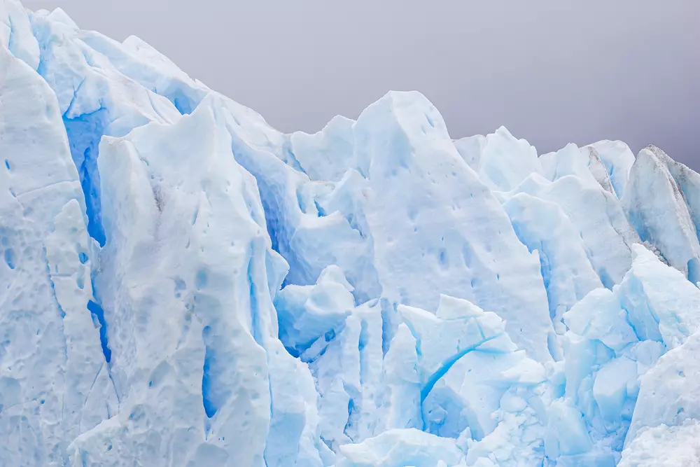 Animais desconhecidos semelhantes a esponjas encontrados no gelo da Antártica