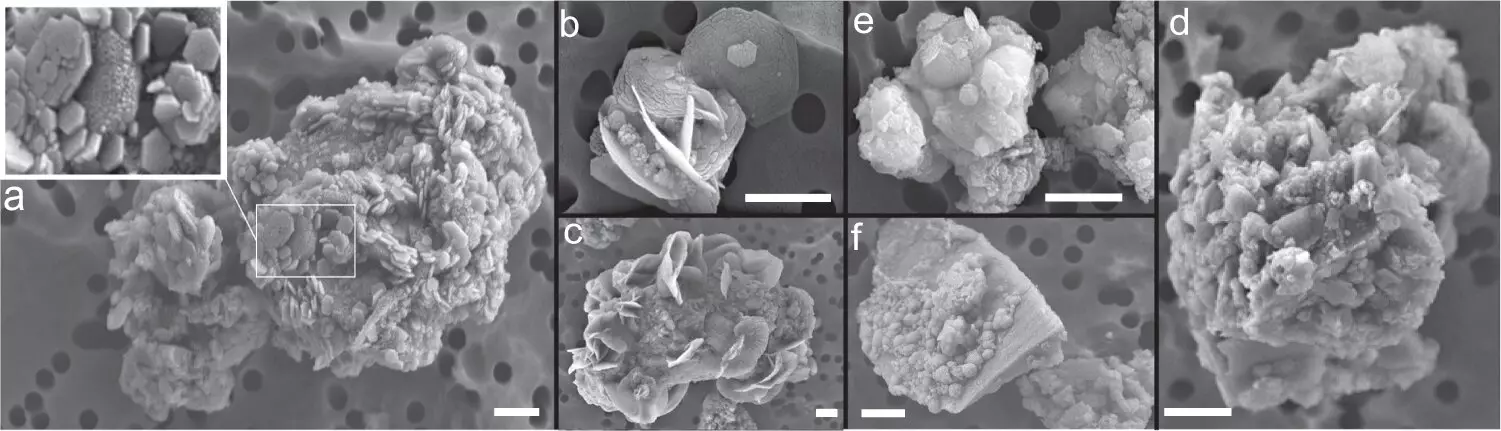 Liminerale ea Martian e sibollotse botebo leqhoeng la Antarctica