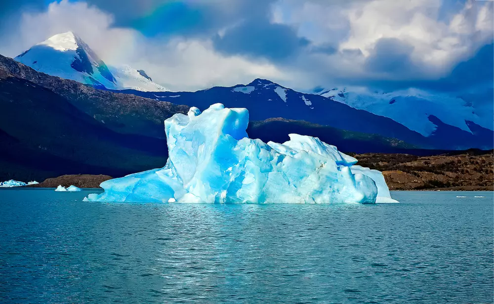 Makina opulumuka kwa ndere munyanja yamchere ndi yozizira ya Antarctica imawululidwa