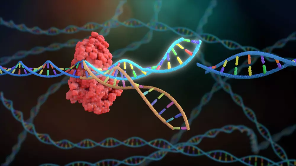 Nanotela koja pomažu CRISPR -u da uključuje i isključuje gene u ćelijama