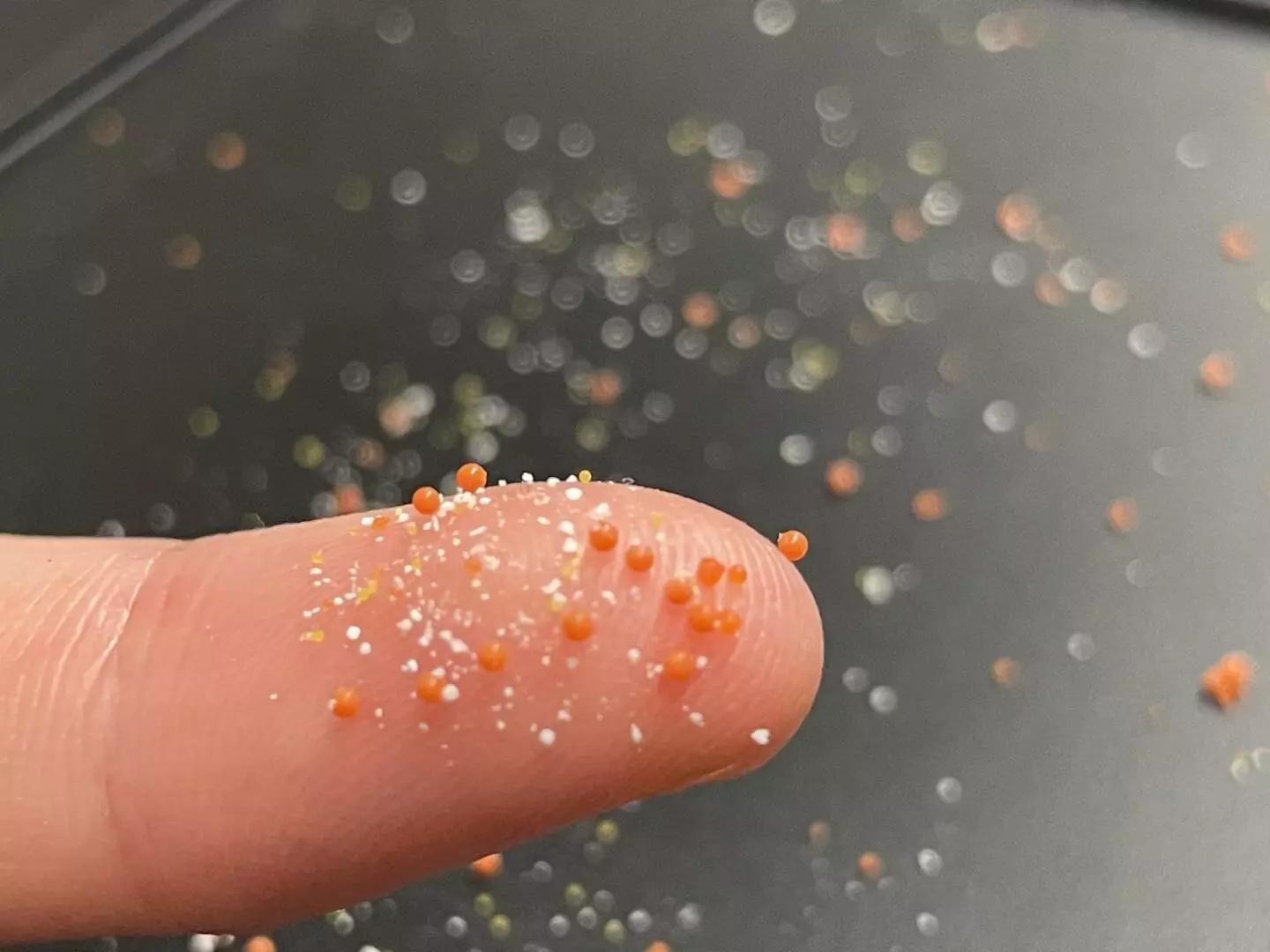 Nnyocha: Microplastics nwere ike ibute nje nje na-eguzogide ọgwụ