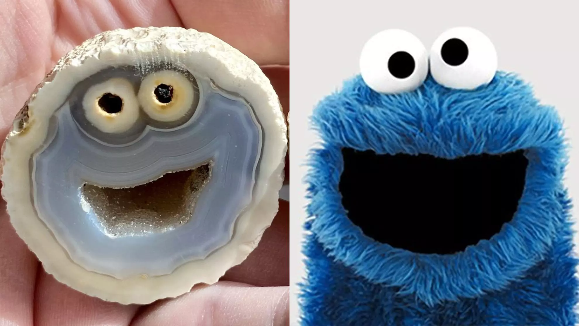 Am găsit o piatră semiprețioasă similară cu Cookie Cookie din Sesame Street