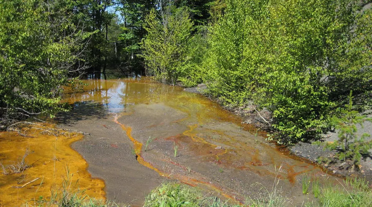 Os cientistas descobriram como extrair minerais valiosos de águas residuais de mina ácida