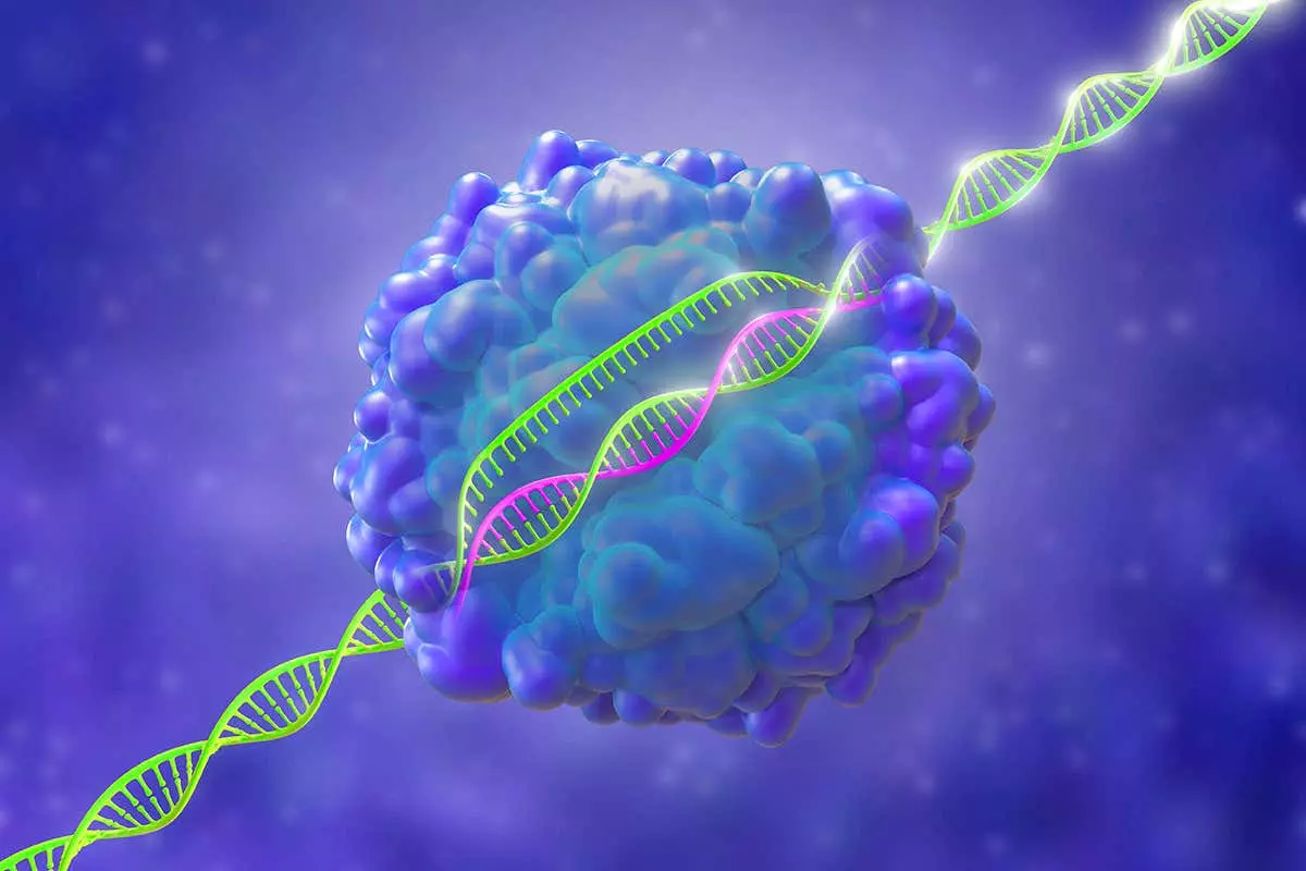 Novo método de injeção CRISPR ajudará a tratar doenças raras