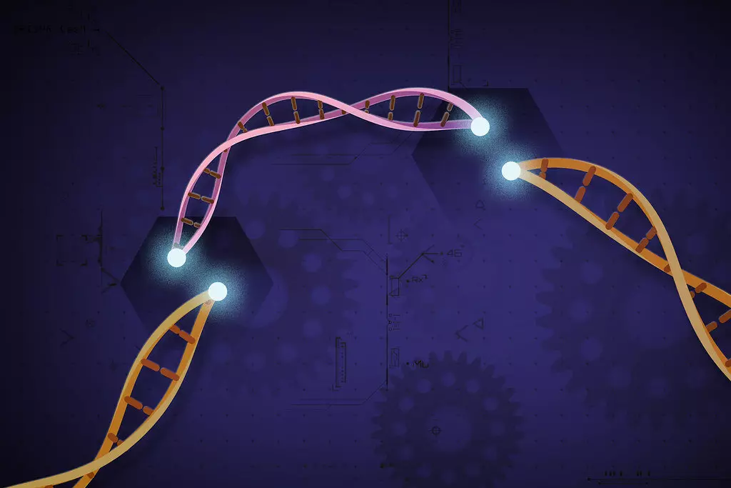 Cientistas relatam seis novas variantes de CRISPR-Cas12a em plantas