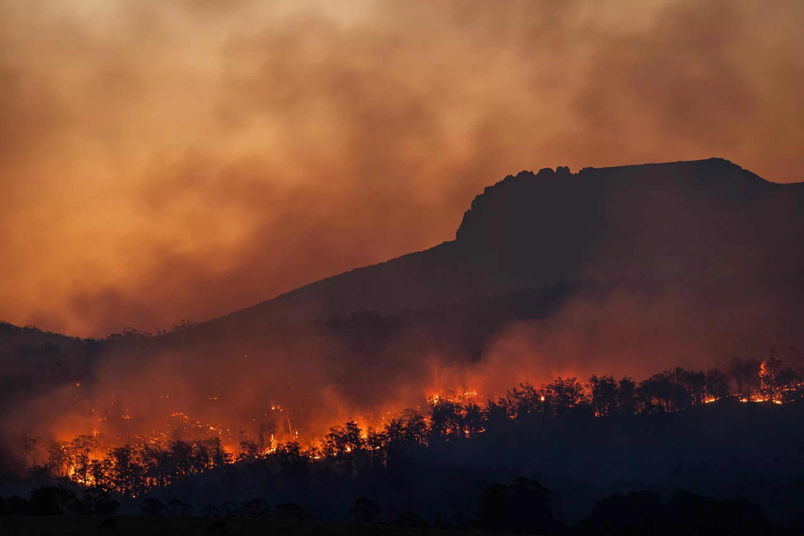 Os drons con sensores detectan incendios nunha fase inicial