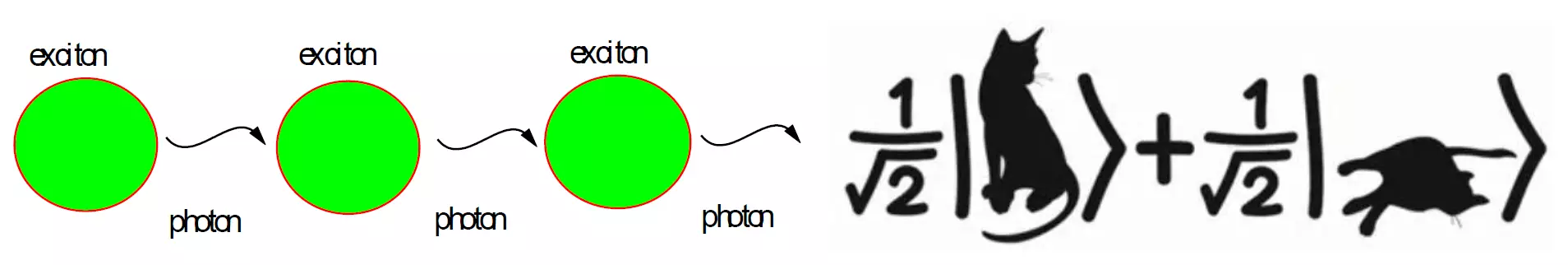 អេប៊ីស៊ីនៃការគណនា Quantum៖ លក្ខខណ្ឌចំនួន ៣៥ ដើម្បីជួយអ្នកឱ្យយល់ពីបច្ចេកវិទ្យា 43420_8