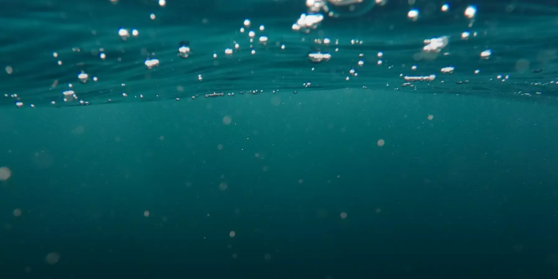 Des scientifiques transforment les déchets de la mer en biomatériau pour la réparation osseuse 43510_1