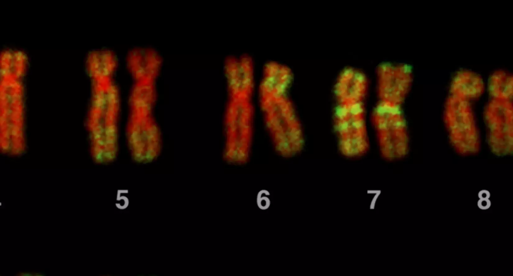 Los investigadores han aprendido a recolectar ADN del aire 43514_1