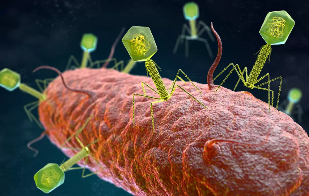 Scientists have found 140 thousand previously unknown viruses in the human intestine