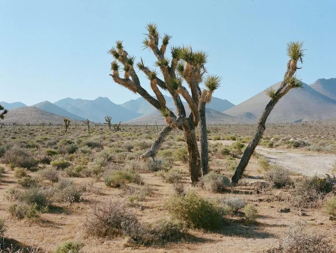 El Valle de la Muerte registra récord de temperatura