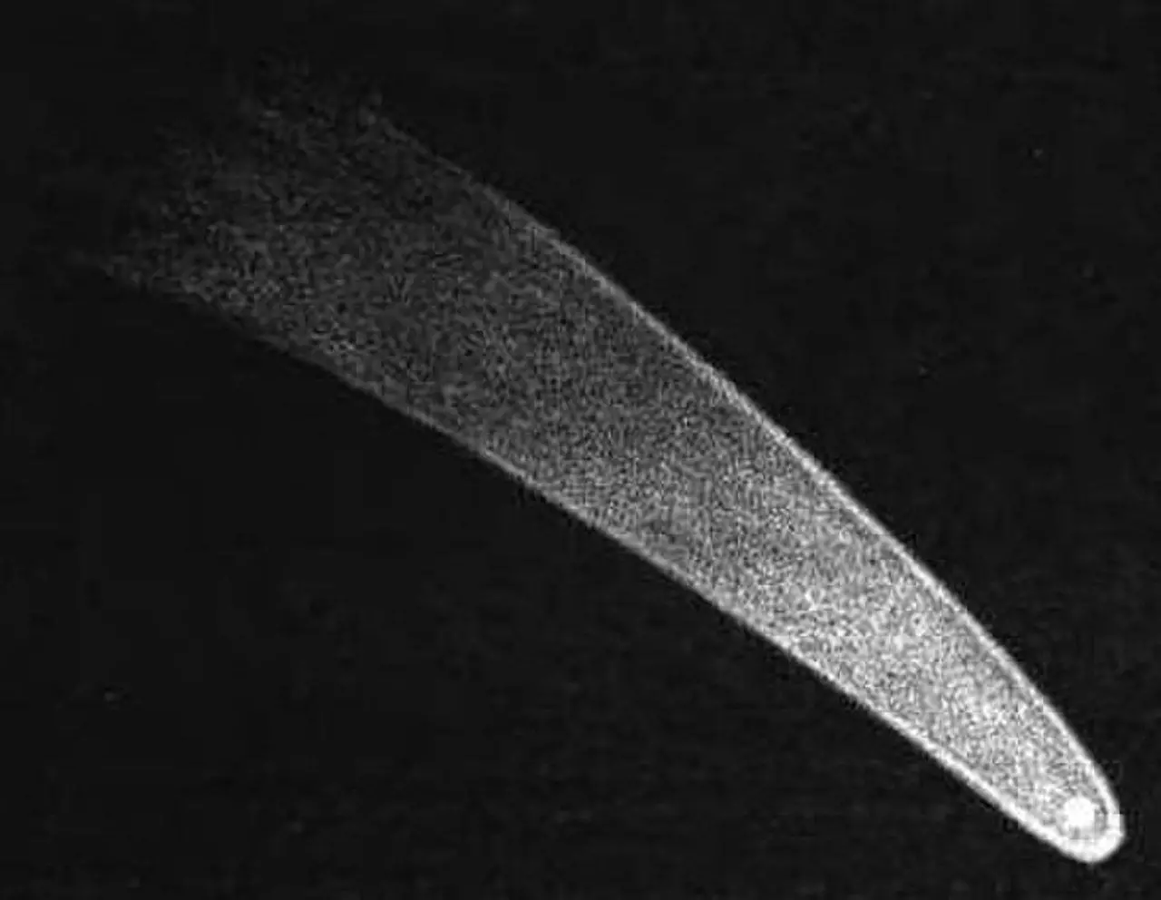 L-isbaħ kometi kbar: kif ġew skoperti u meta se jirritornaw 43783_1