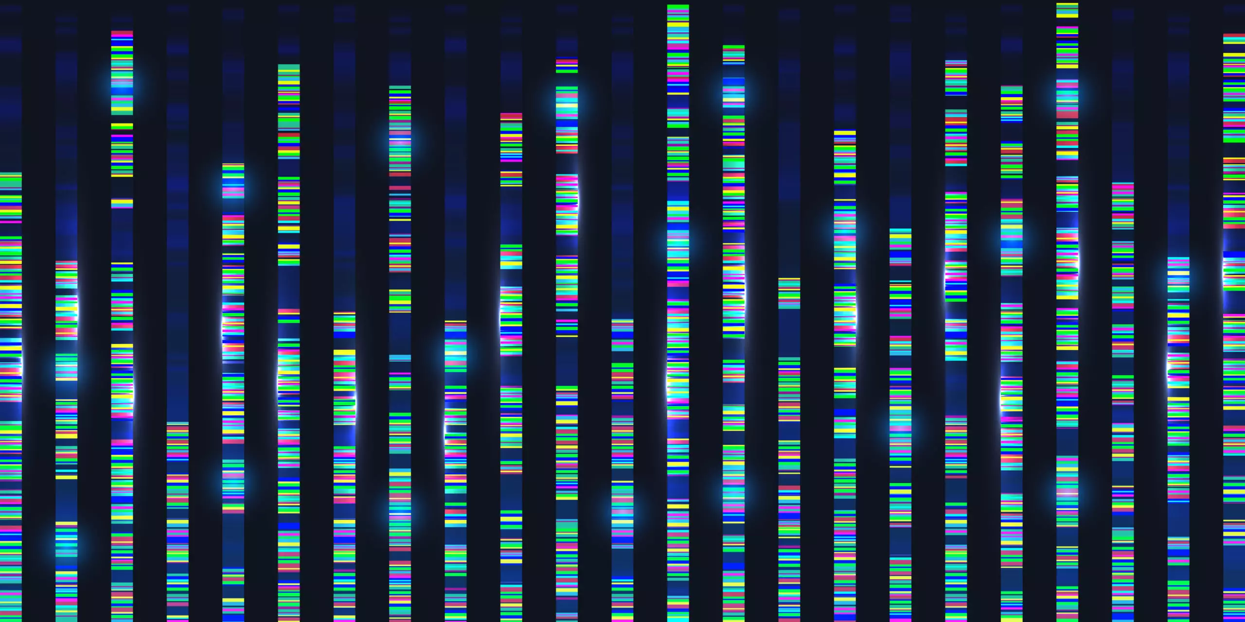 Wittenskippers snije de tiid fan genome -assemblage mei kwantumalgoritmen