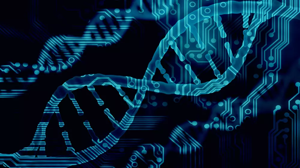 AI vind spore van voortdurende natuurlike seleksie in die mensdom