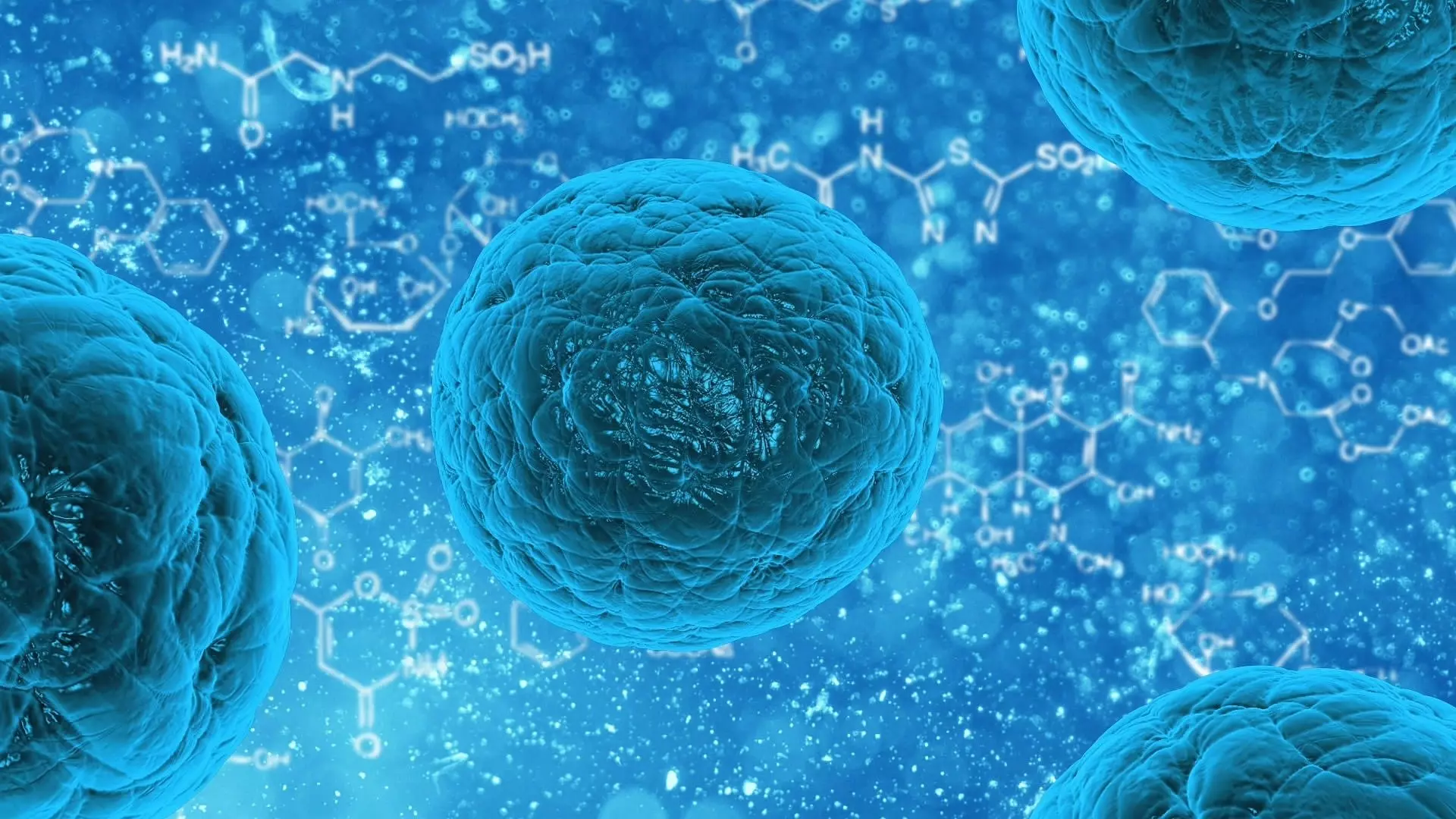 Organelles anoramba achirarama kunyangwe mushure mekufa kwemasero avo