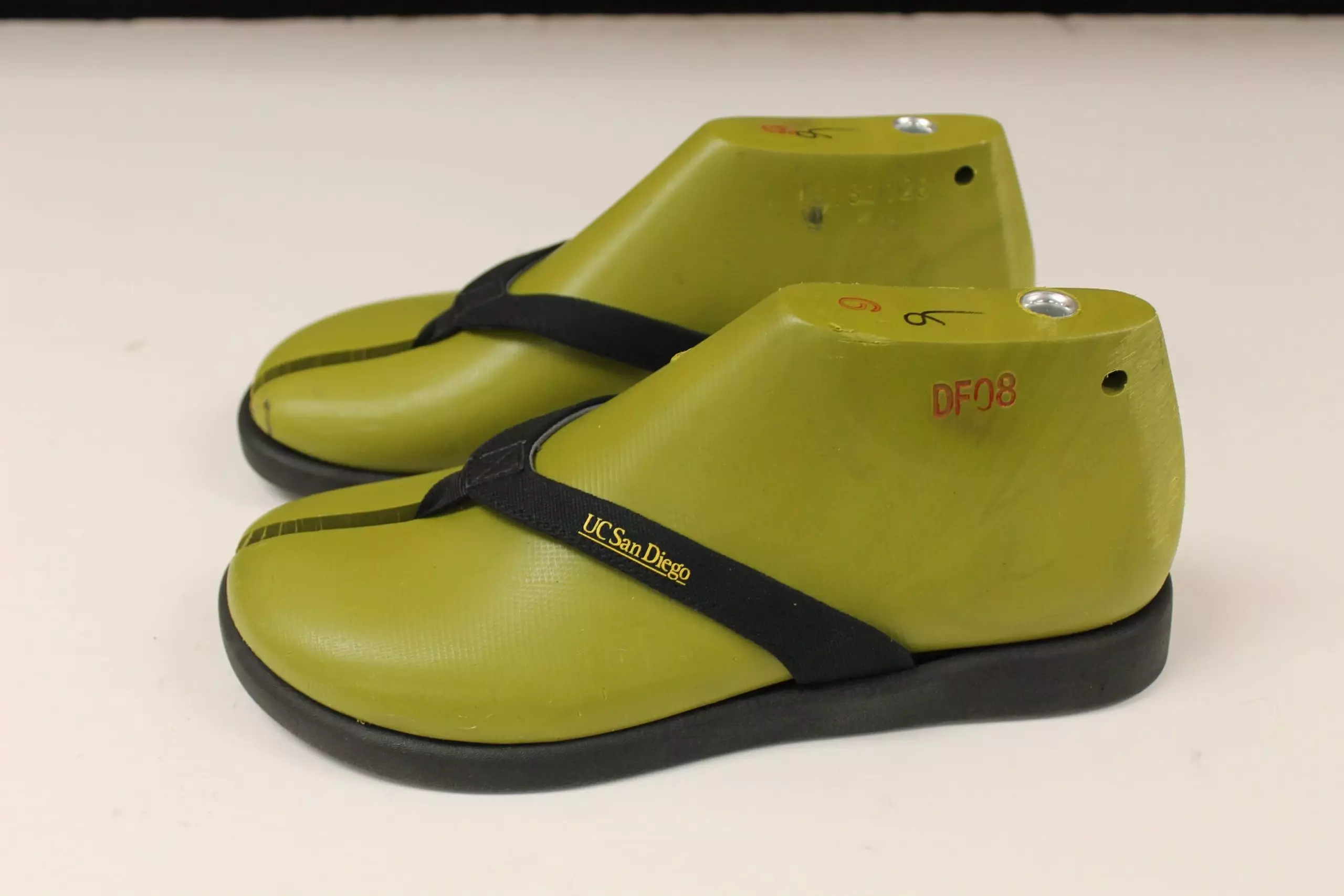 Lelee slippers nke nwere ike imebi site na algae 44209_1