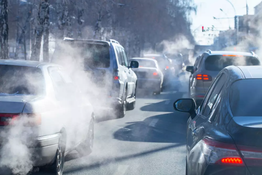 Salva il pianeta: cosa possono fare tutti per ridurre la nostra impronta di carbonio 44213_2