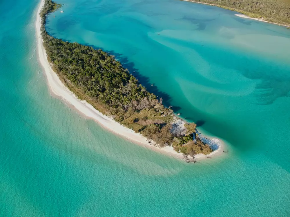 Nei Bränn an Australien hunn 40% vun der Insel zerstéiert, déi vu rare Déierenaarten bewunnt ass 44227_1