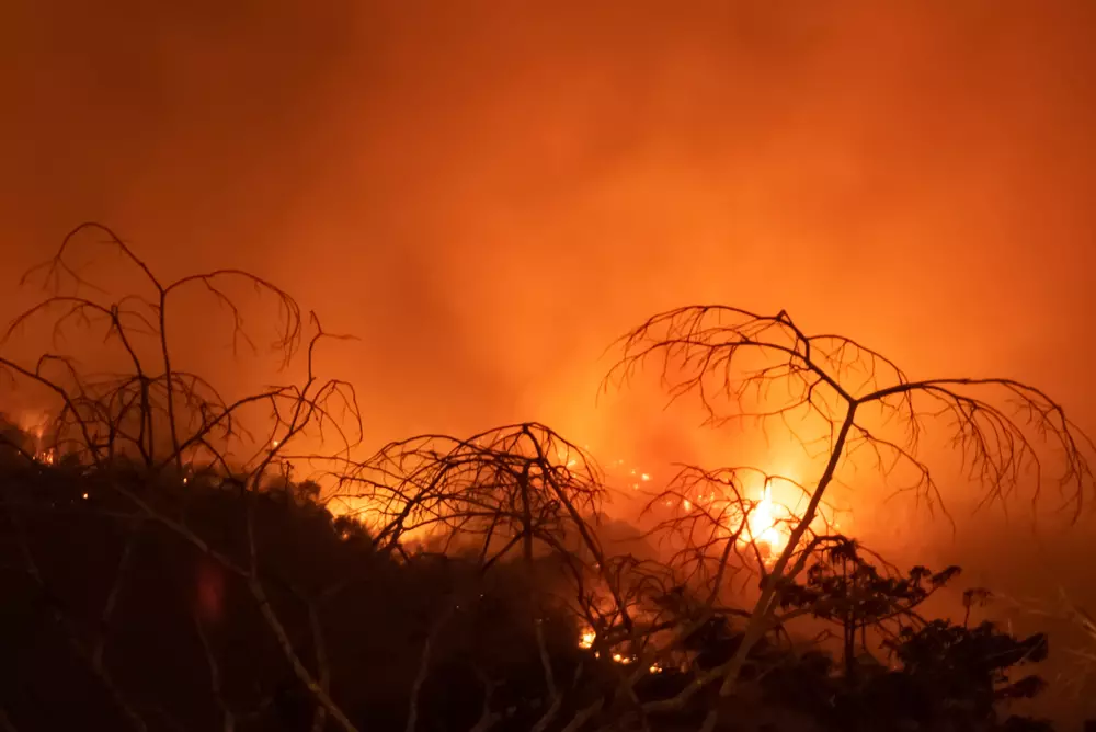 Algoritmu Fugu Ġdid Se Jnaqqas id-Daqs tal-Vidjo Streaming Mingħajr Ma Tnaqqas il-Kwalità