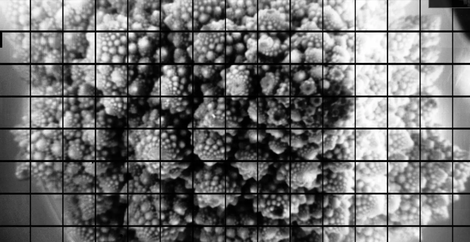 La plej potenca fotilo de la mondo kaptas 3200 megapixelajn fotojn