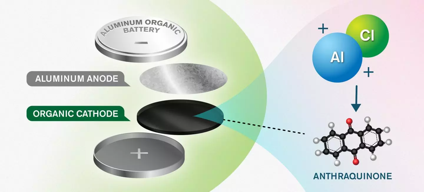 Er is een nieuw concept van eco-batterijen verschenen