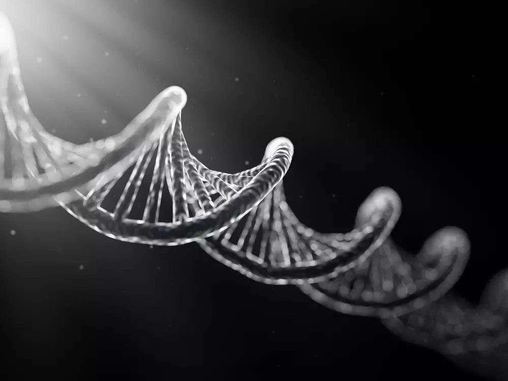 İnsan eliyle DNA: Genetikçiler neden sentezlenmiş bir genoma sahip dünyanın ilk organizmasını yarattı? 45047_2