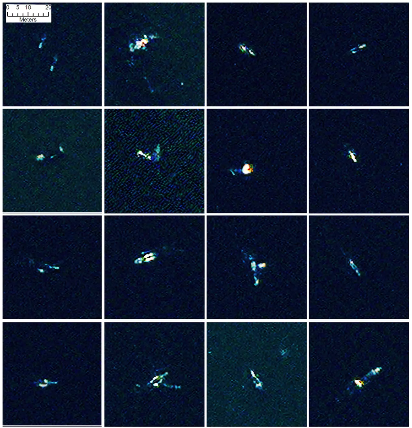 Sous la menace des armes : comment les scientifiques traquent les animaux sauvages depuis l'espace 46714_3